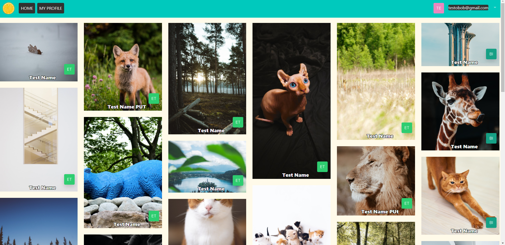 Eric Wakeman Portfolio